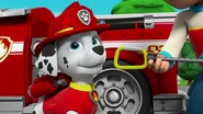 Pups Save a Cow/Gallery | PAW Patrol Wiki | Fandom