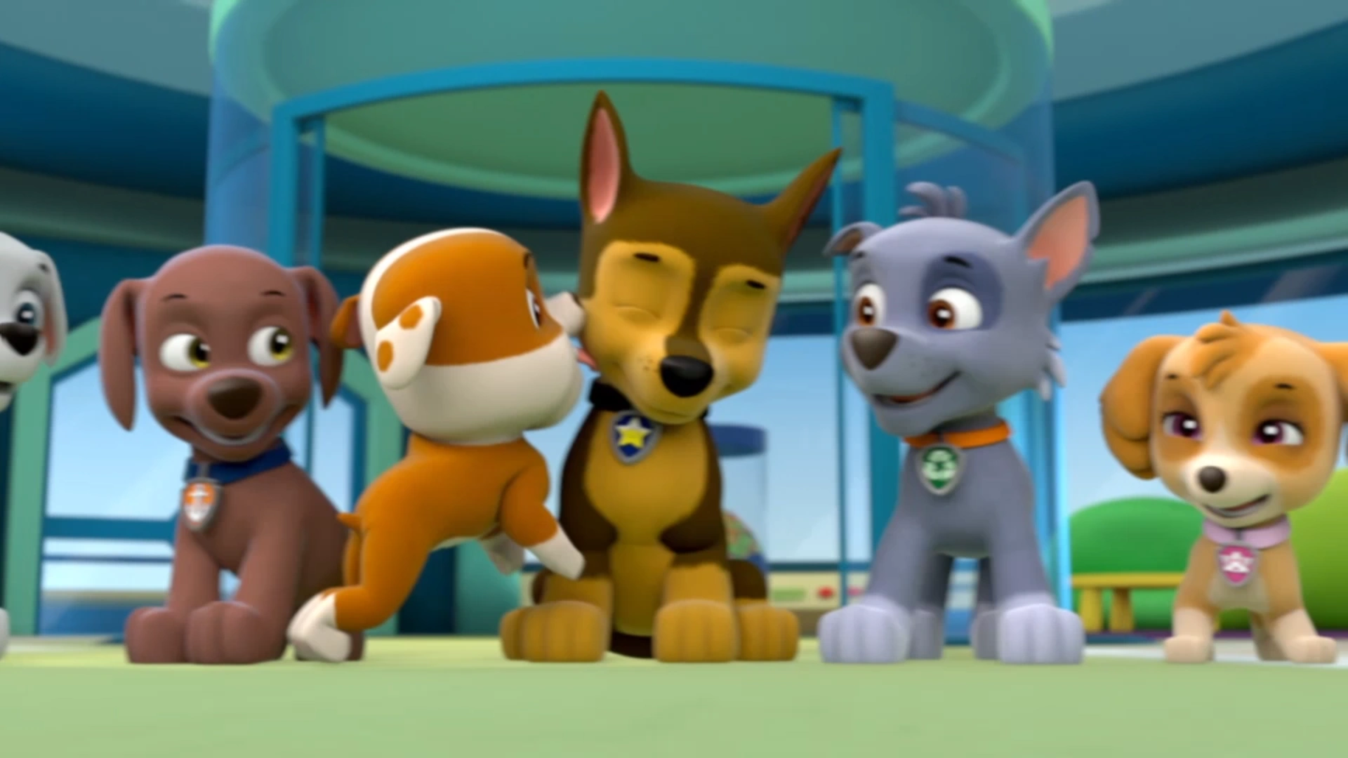Pups Get a Rubble/Quotes | PAW Patrol Wiki | FANDOM powered by Wikia