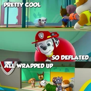 Marshall/Gallery | PAW Patrol Wiki | FANDOM powered by Wikia