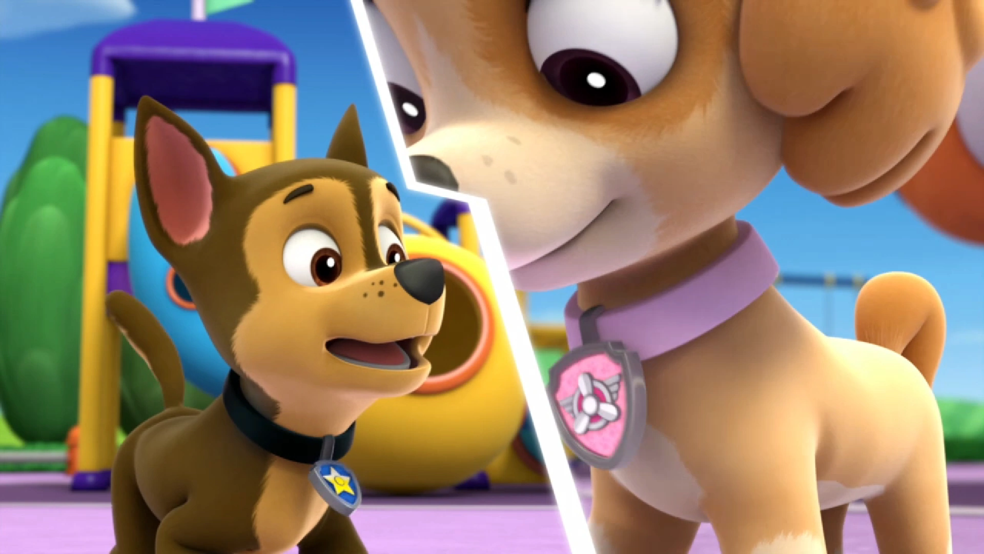 Chase/Gallery/Pups Save the Sea Turtles | PAW Patrol Wiki | Fandom