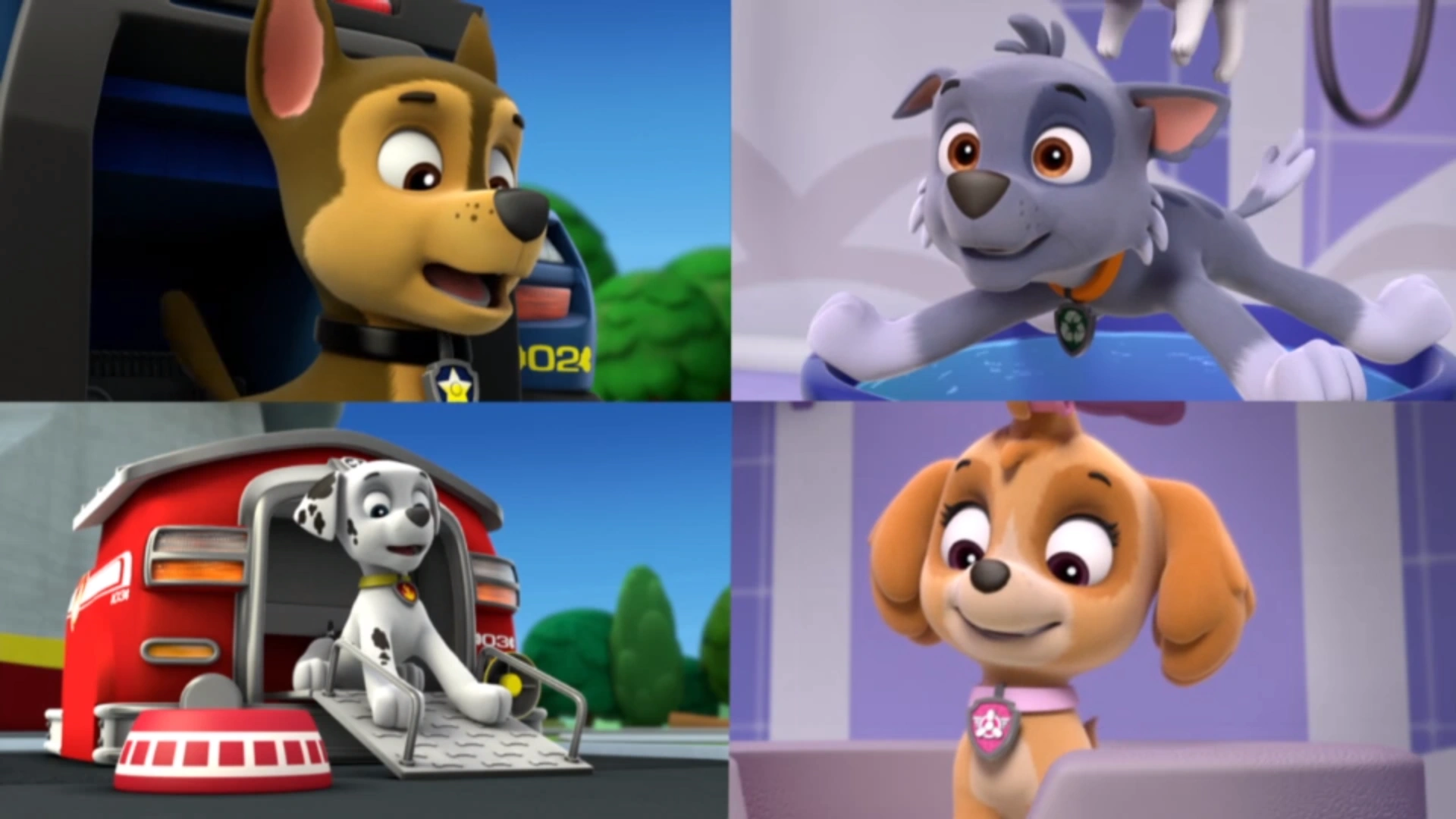 Chase/Gallery/Pups Make a Splash | PAW Patrol Wiki | Fandom