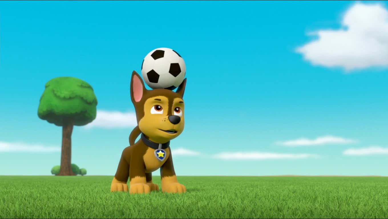 Pups Save the Runaway Kitties/Gallery | PAW Patrol Wiki | Fandom Pups Save the Runaway Kitties/Gallery | PAW Patrol Wiki | Fandom