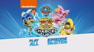 Mighty Pups, Charged Up (DVD) | PAW Patrol Wiki | Fandom