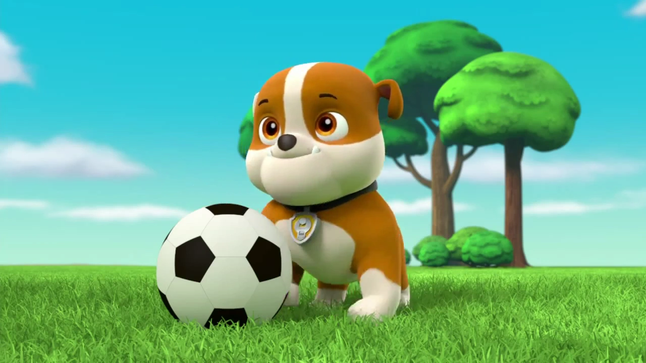 Rubble/Gallery/Pups Save the Soccer Game | PAW Patrol Wiki | Fandom