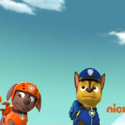 Zuma | PAW Patrol Wiki | FANDOM powered by Wikia