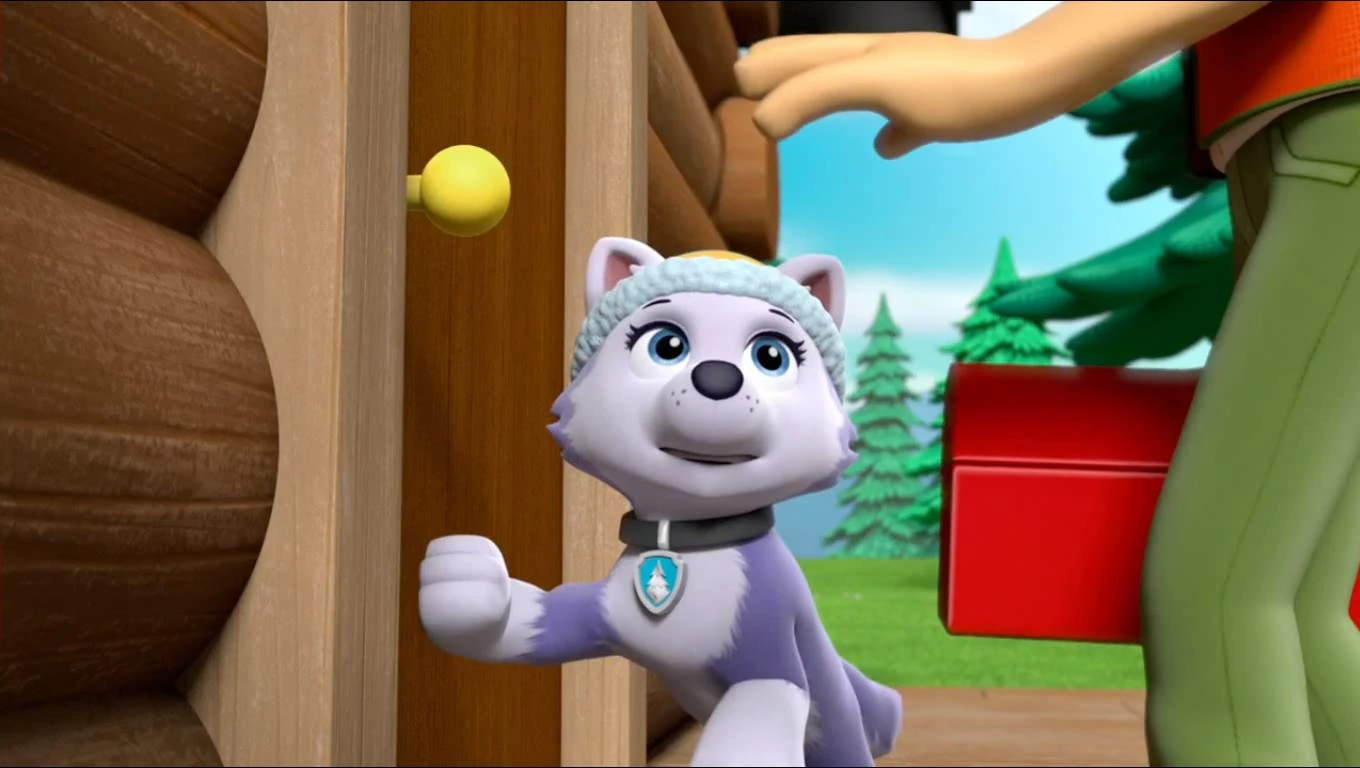 Pups Save Jake's Cake/Trivia | PAW Patrol Wiki | Fandom