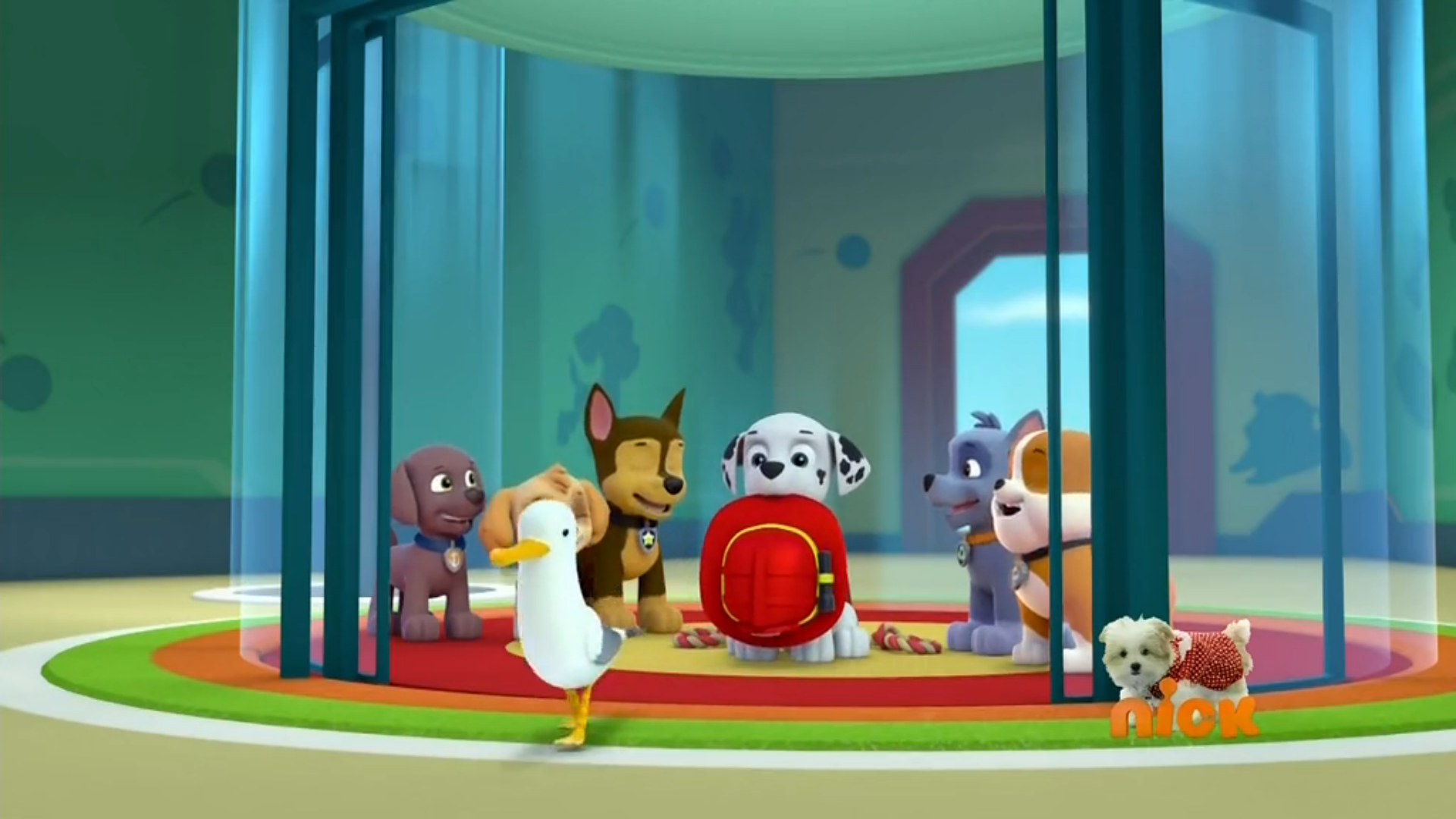 Seagulls/Trivia | PAW Patrol Wiki | FANDOM powered by Wikia Seagulls/Trivia | PAW Patrol Wiki | FANDOM powered by Wikia