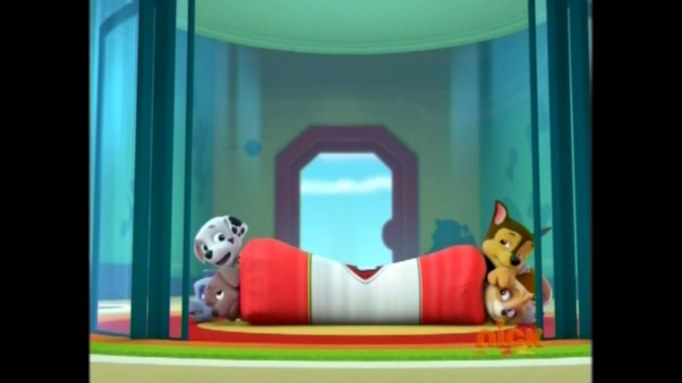 Rocky Gallery Pups Save An Eagle Paw Patrol Wiki Fandom