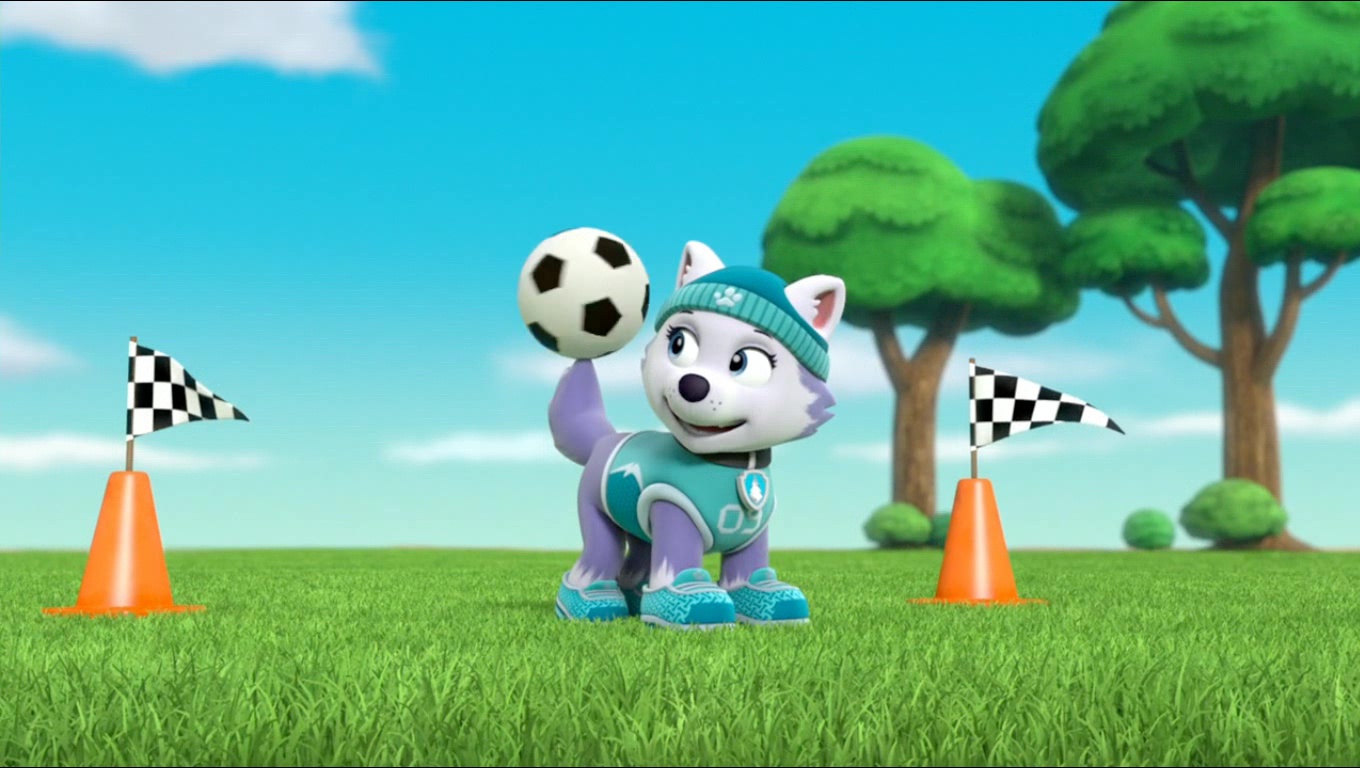 Image - All Star Pups! 4.jpg | PAW Patrol Wiki | FANDOM powered by Wikia Image - All Star Pups! 4.jpg | PAW Patrol Wiki | FANDOM powered by Wikia