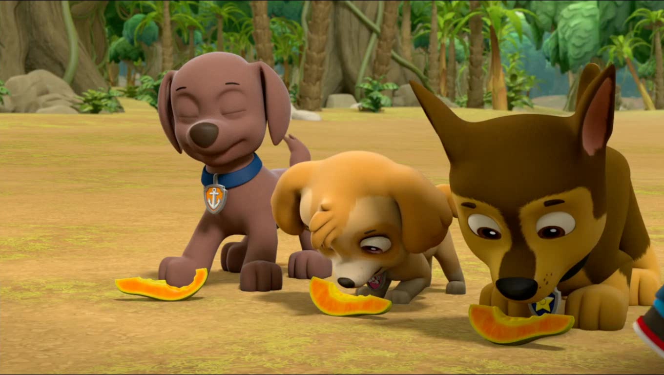 Chase/Gallery/Pups Save the PawPaws | PAW Patrol Wiki | FANDOM powered ... Chase/Gallery/Pups Save the PawPaws | PAW Patrol Wiki | FANDOM powered ...