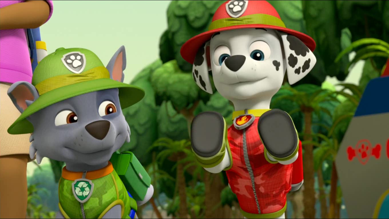 Rocky Gallery Pups Save The Pawpaws Paw Patrol Wiki Fandom Powered