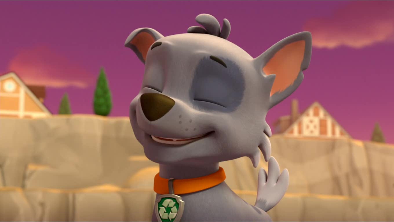Rocky Gallery Sea Patrol Pups Save Puplantis Paw Patrol Wiki
