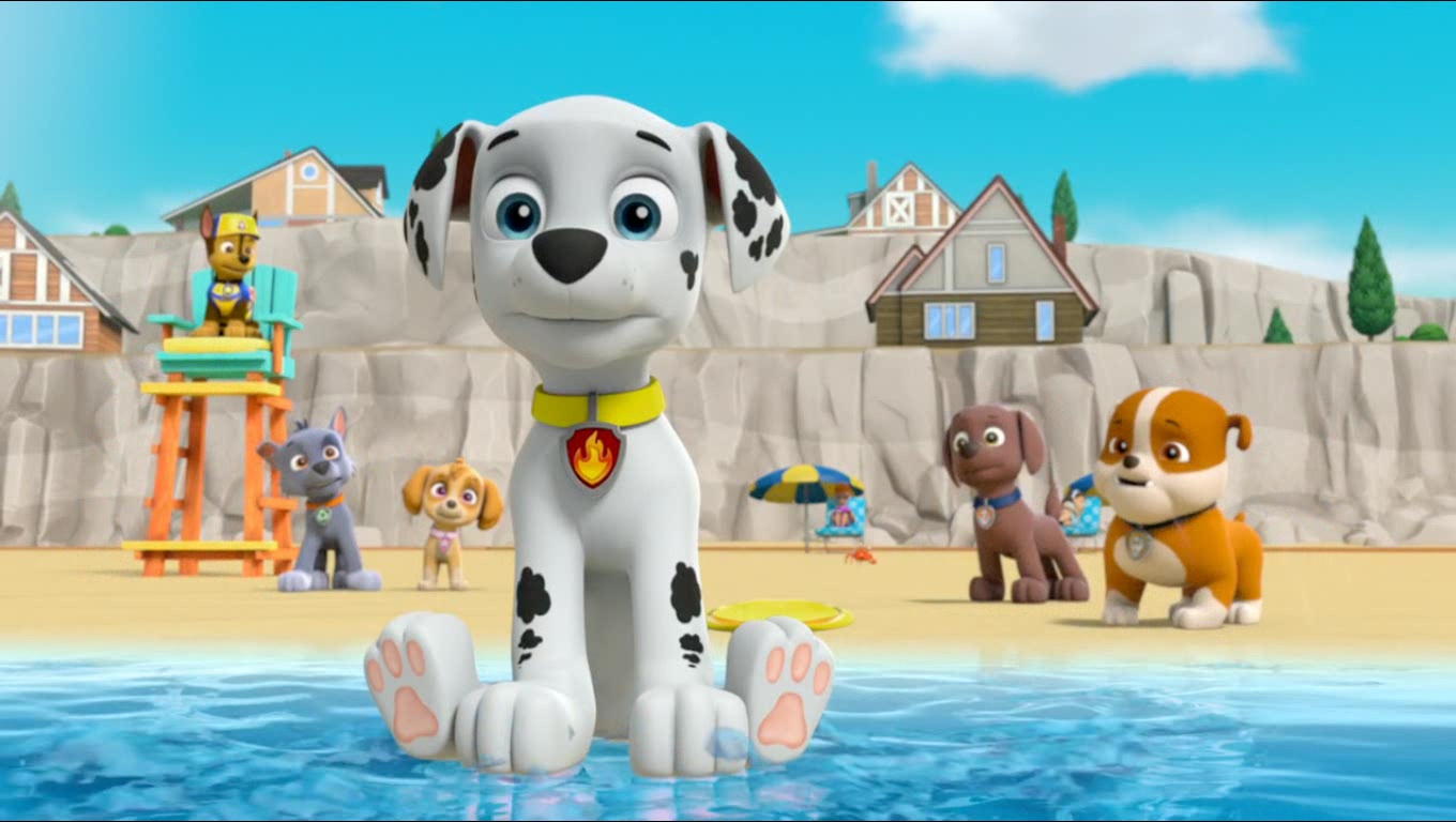 Rocky Gallery Sea Patrol Pups Save Tilly Turbot Paw Patrol Wiki