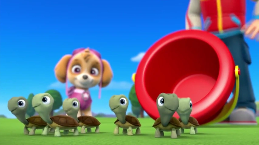 Pups and the Trouble with Turtles/Quotes | PAW Patrol Wiki | FANDOM ...