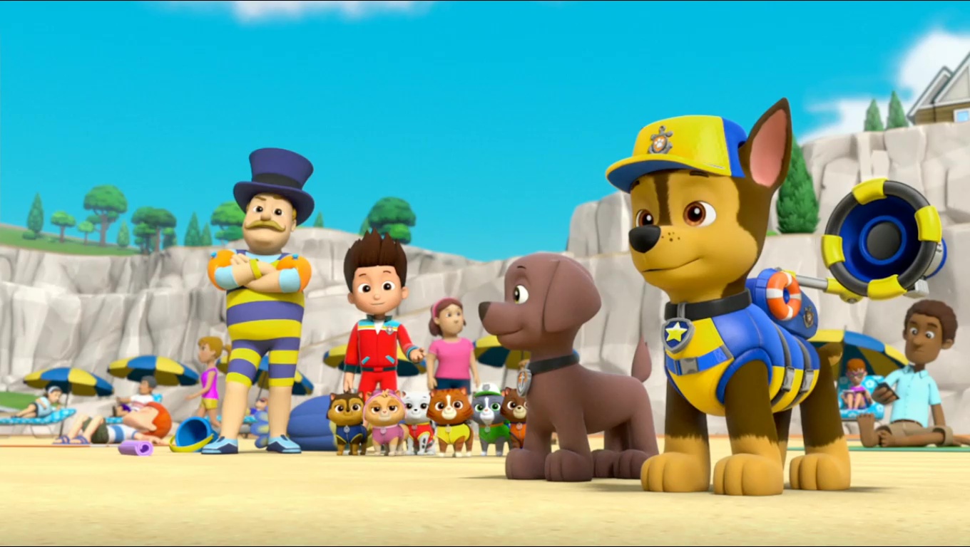 Zuma/Gallery/Sea Patrol: Pups Save a Shark | PAW Patrol Wiki | Fandom