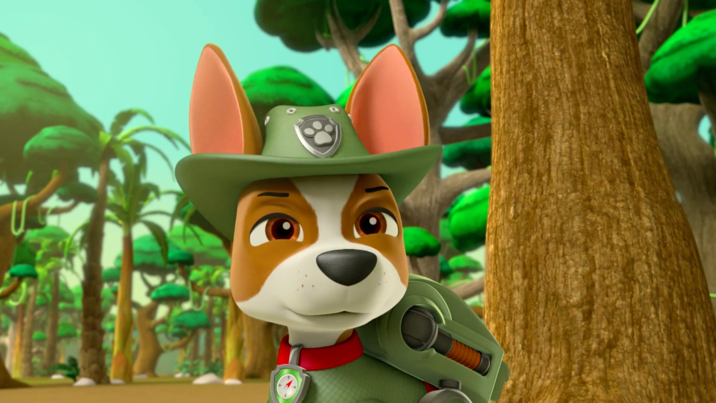 Image - PAW Patrol 315 Scene 55 Tracker.png | PAW Patrol Wiki | FANDOM ...