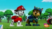Marshall/Gallery/Pups Save a Duck Pond | PAW Patrol Wiki | Fandom