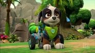 Dino Rescue: Pups Save a Pterodactyl/Gallery | PAW Patrol Wiki | Fandom