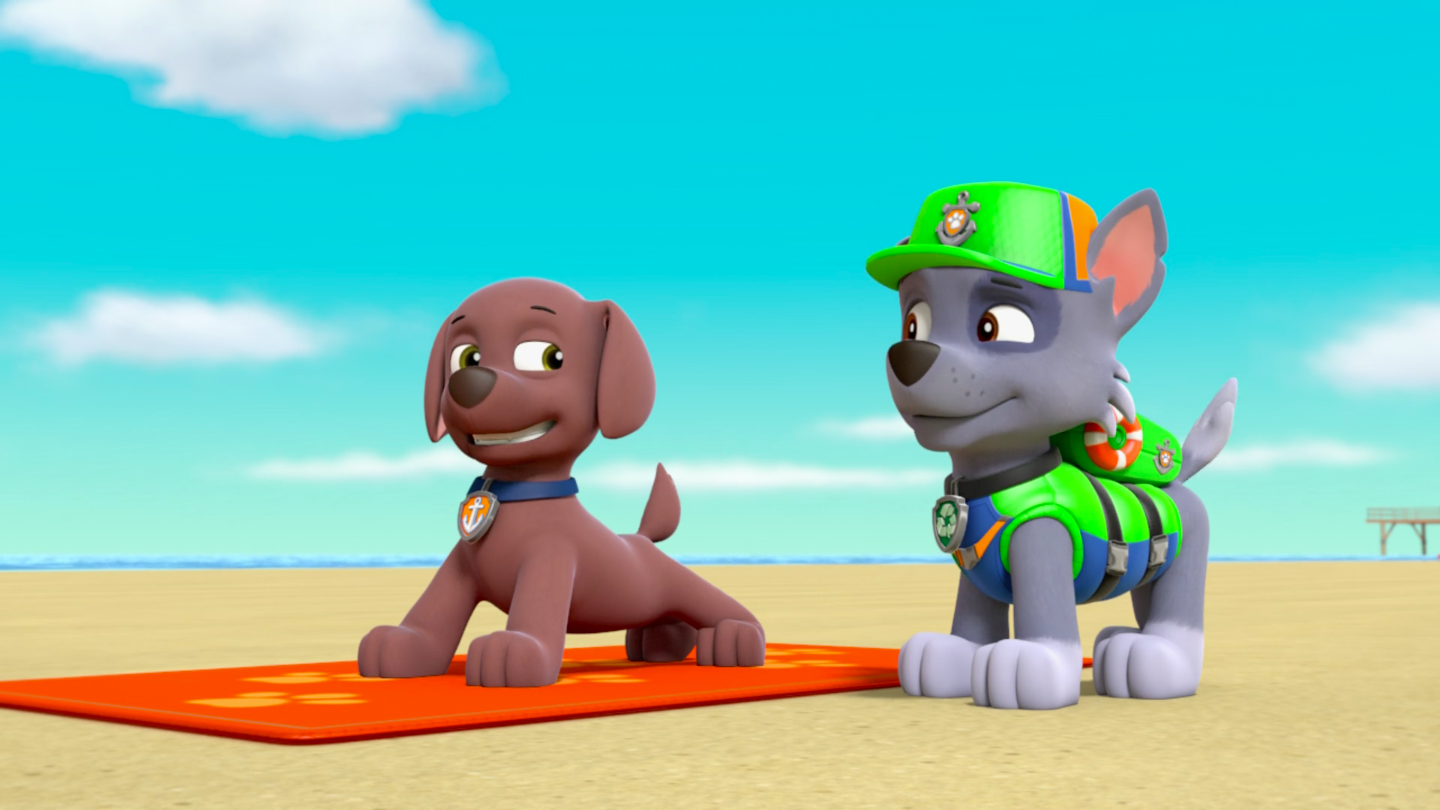 Rocky Gallery Sea Patrol Pups Save A Soggy Farm Paw Patrol Wiki