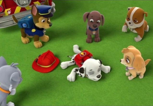 Zuma/Gallery/Pups Fight Fire | PAW Patrol Wiki | Fandom