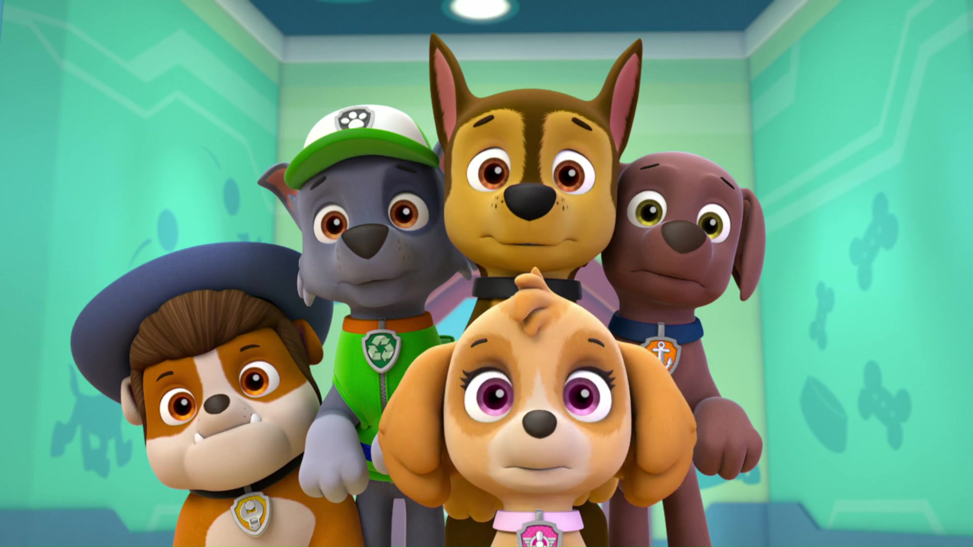 Skye/Gallery/Pups Save Luke Stars | PAW Patrol Wiki | FANDOM powered by ...
