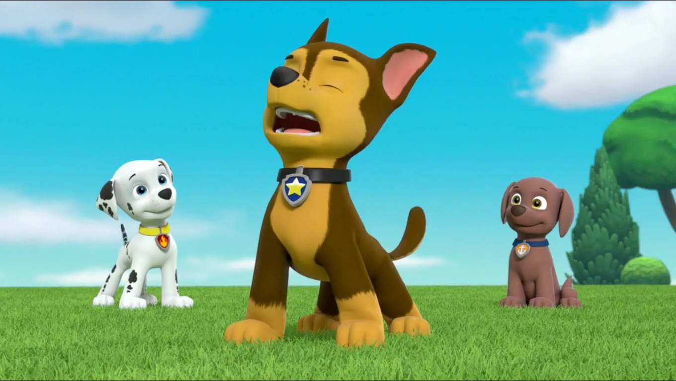 Zuma/Gallery/Mission PAW: Pups Save the Princess' Pals | PAW Patrol ... Zuma/Gallery/Mission PAW: Pups Save the Princess' Pals | PAW Patrol ...