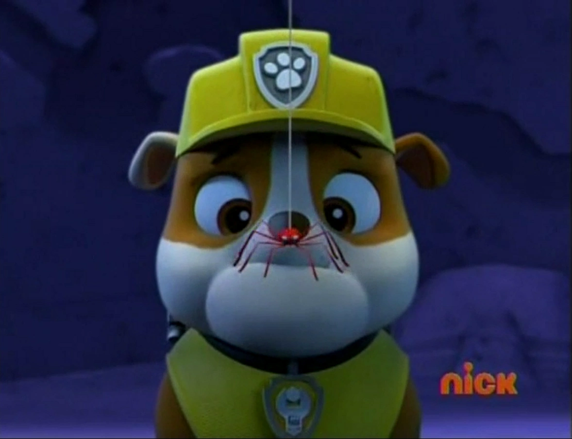 Image - Rubble see a spider.png | PAW Patrol Wiki | FANDOM powered by Wikia