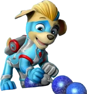 Tuck/Gallery | PAW Patrol Wiki | Fandom