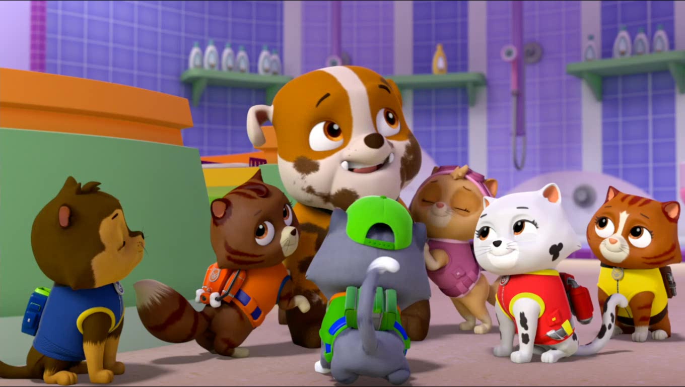 Cat Zuma/Gallery/Pups Save the Runaway Kitties | PAW Patrol Wiki | Fandom Cat Zuma/Gallery/Pups Save the Runaway Kitties | PAW Patrol Wiki | Fandom