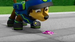 Pups Save a Frog Mayor/Quotes | PAW Patrol Wiki | Fandom