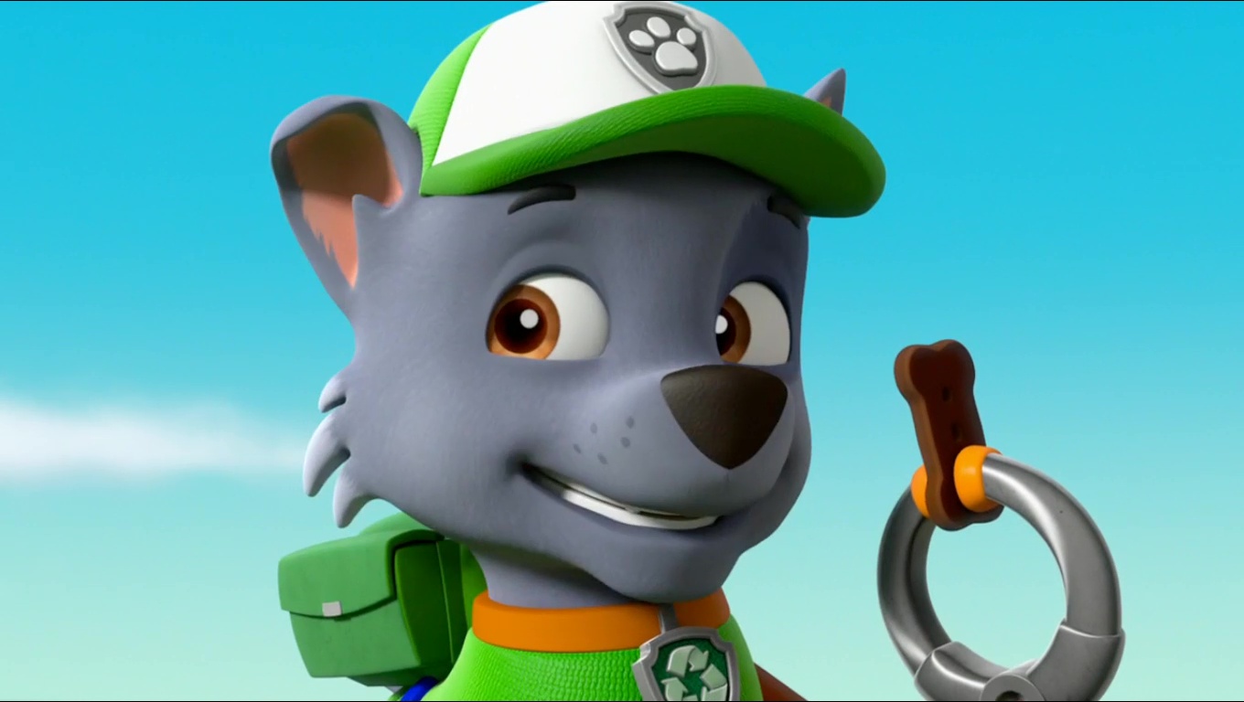 Rocky Gallery Pups Save Gustavos Guitar Paw Patrol Wiki Fandom