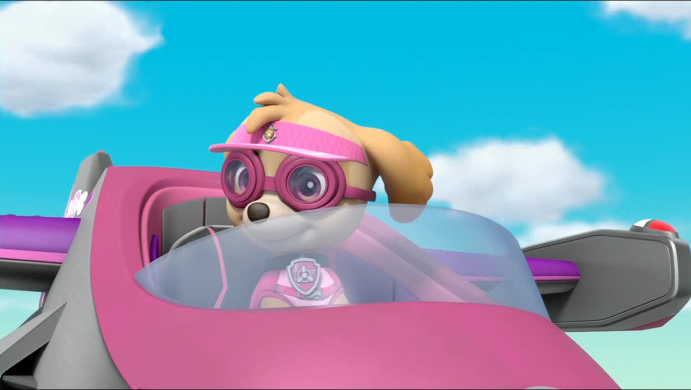 Skye/Gallery/Sea Patrol: Pups Save Their Pirated Sea Patroller | PAW ...