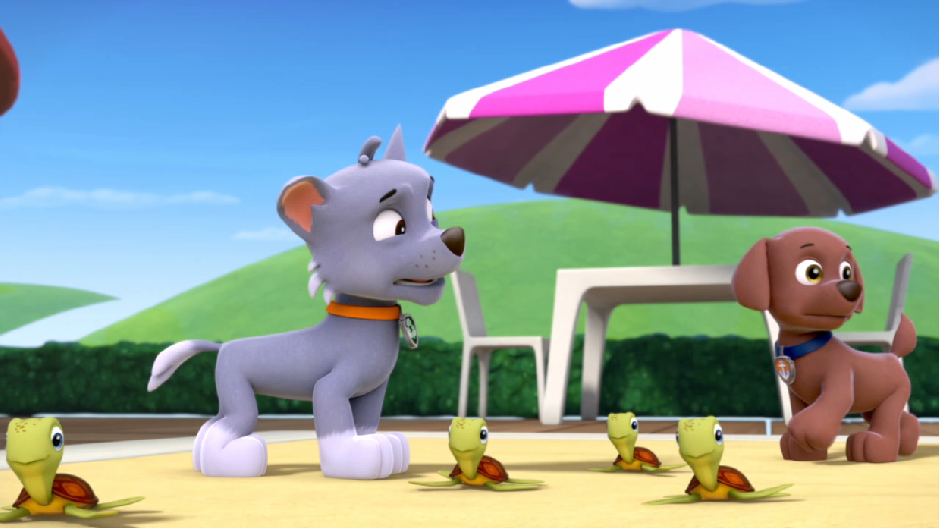 Pups Save the Sea Turtles/Quotes | PAW Patrol Wiki | Fandom