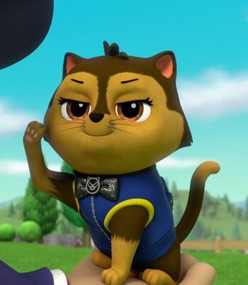 Cat Chase | PAW Patrol Wiki | Fandom
