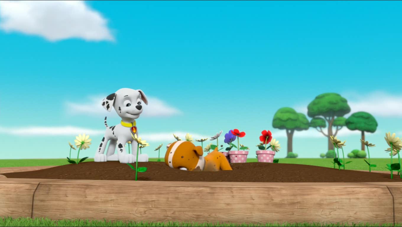 Rubble/Gallery/Pups Save the Runaway Kitties | PAW Patrol Wiki | FANDOM ... Rubble/Gallery/Pups Save the Runaway Kitties | PAW Patrol Wiki | FANDOM ...