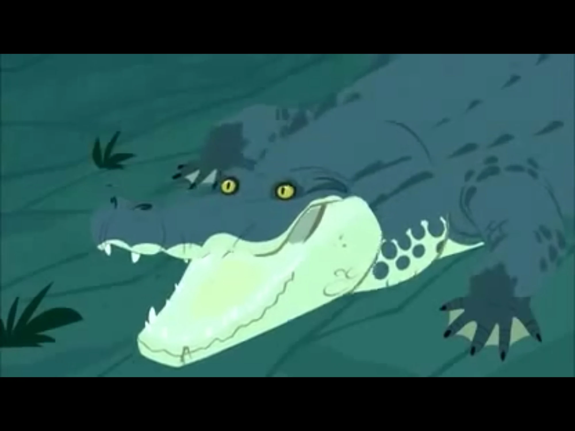 American Alligator/ Gallery | PBS Kids Animals Wiki | Fandom