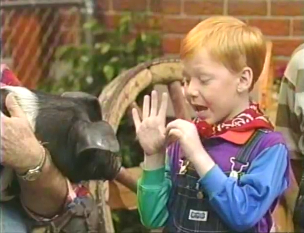 Category:Barney Characters | PBS Kids Wiki | FANDOM powered by Wikia