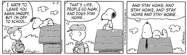 April 1999 comic strips | Peanuts Wiki | Fandom