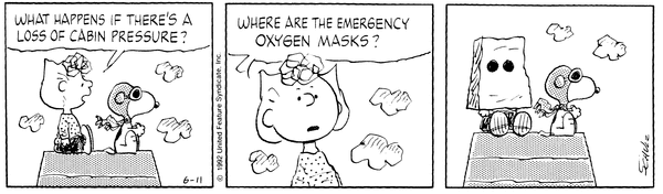 June 1992 comic strips | Peanuts Wiki | Fandom