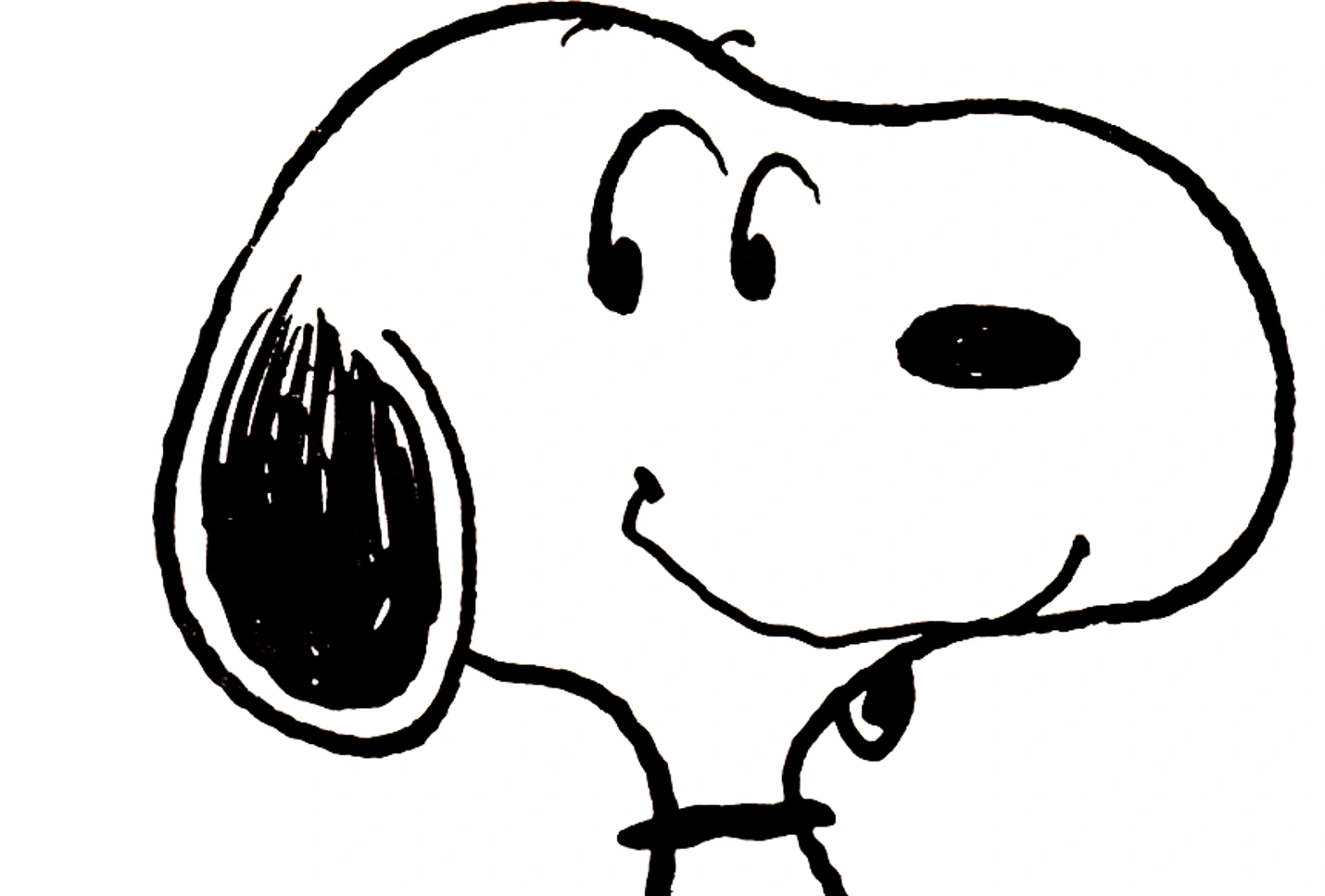 Image - SNOOPY.png | Peanuts Wiki | FANDOM powered by Wikia