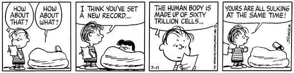July 1981 comic strips | Peanuts Wiki | FANDOM powered by Wikia