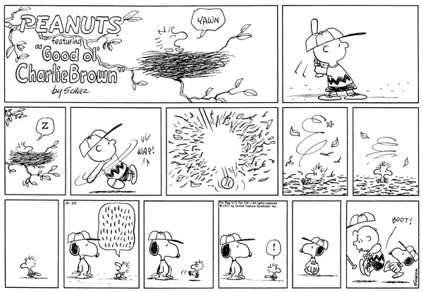 August 1971 comic strips | Peanuts Wiki | Fandom