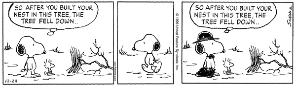 December 1999 comic strips | Peanuts Wiki | Fandom