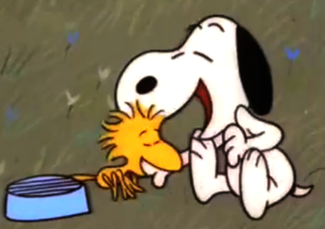 Image - SnoopyComeHome7.png | Peanuts Wiki | FANDOM powered by Wikia