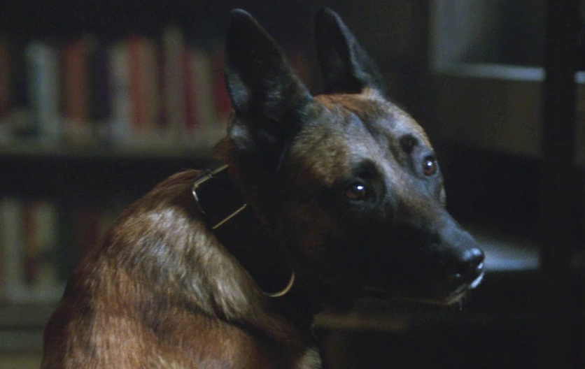 Portalmain Characters Person Of Interest Wiki Fandom