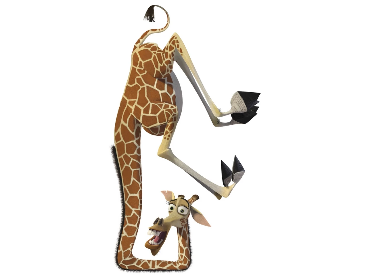 Image - Melman 3.jpg | Madagascar Wiki | FANDOM powered by Wikia