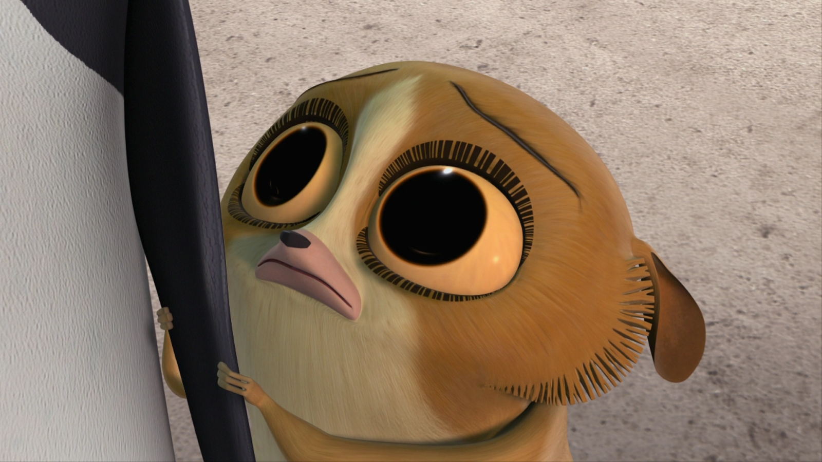 Image Mort7 Madagascar Wiki Fandom Powered By Wikia