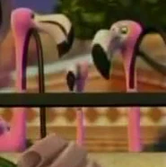 Flamingo Habitat | Madagascar Wiki | Fandom