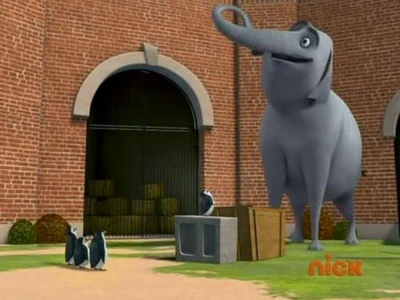 Elephant Habitat | Madagascar Wiki | FANDOM powered by Wikia