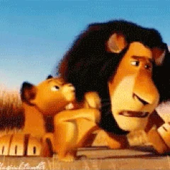 Zuba/Photos | Madagascar Wiki | Fandom